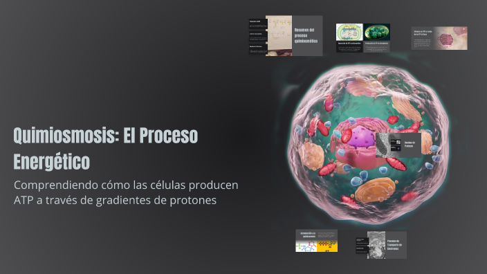 Quimiosmosis: El Proceso Energético by Juan Carlos Geronimo Solorio on ...
