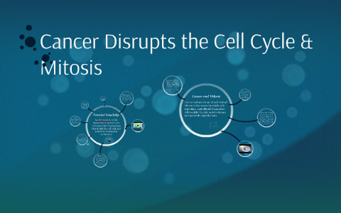Cancer Disrupts Cell Cycle & Mitosis by Brooke Peco on Prezi