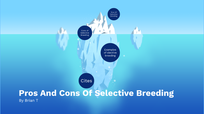 Selective Breeding Project by Brian Tovar on Prezi