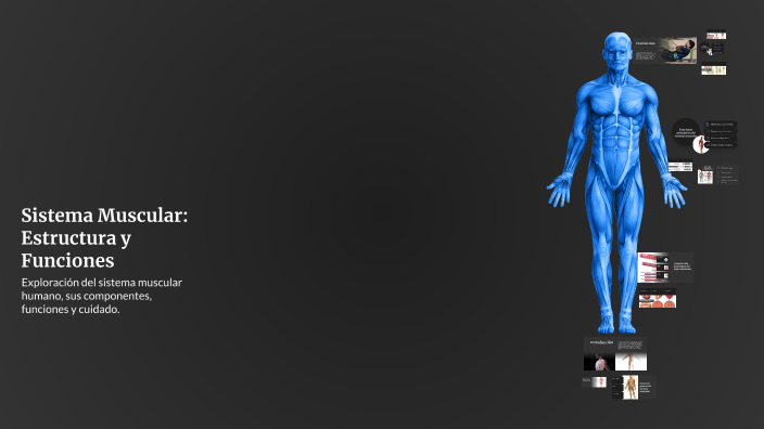 Sistema Muscular: Estructura y Funciones by JUAN ANTONIO PIZANGO ...