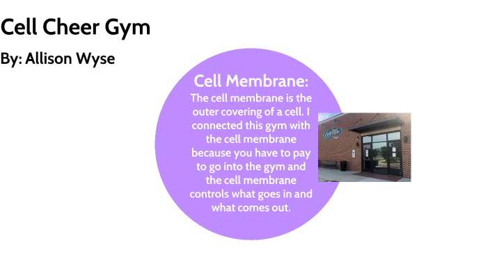 Allison Wyse - Cell Metaphor Project by Allison Wyse on Prezi