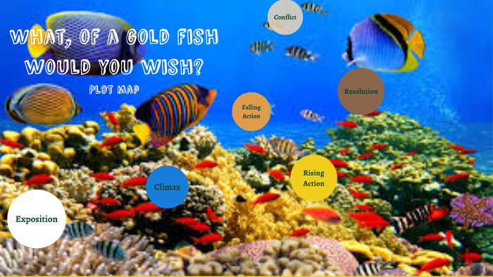 What, of a goldfish would you wish? by cullan marsh on Prezi