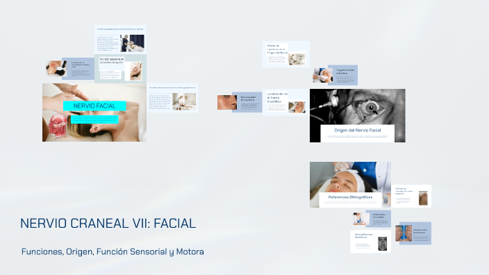 NERVIO CRANEAL VII: FACIAL by Paola Soto on Prezi