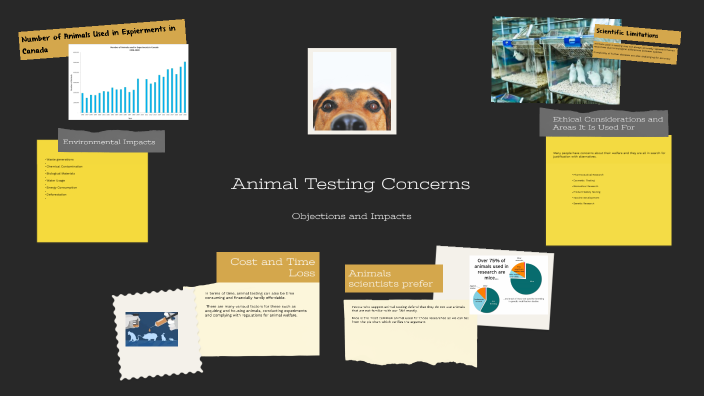 Debunking Animal Testing by Azra Özçırpan on Prezi