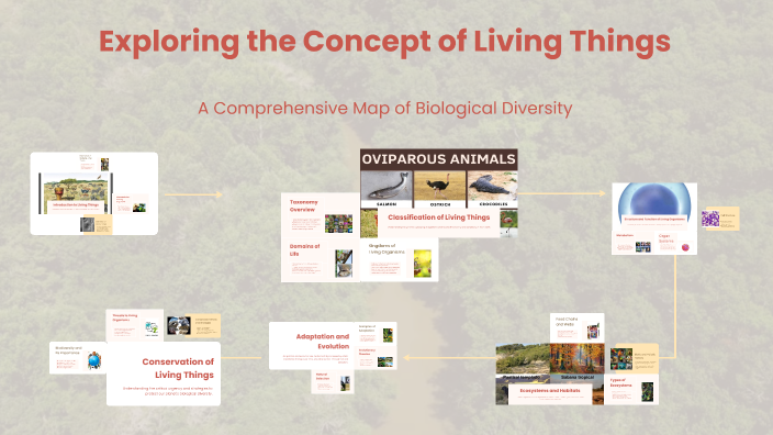 Living Things Concept Map by Emma Kampire on Prezi