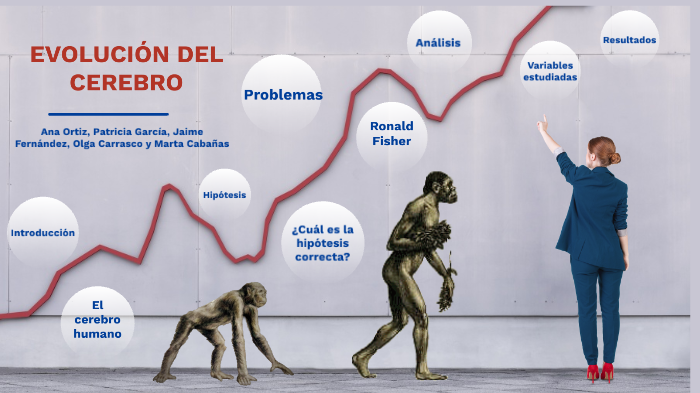 Evolución del cerebro humano by cuevas con el oso oculto