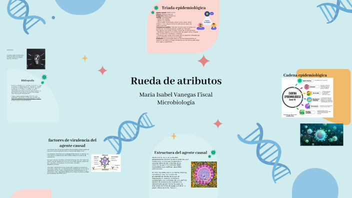 Attributes Wheel by maria vanegas on Prezi
