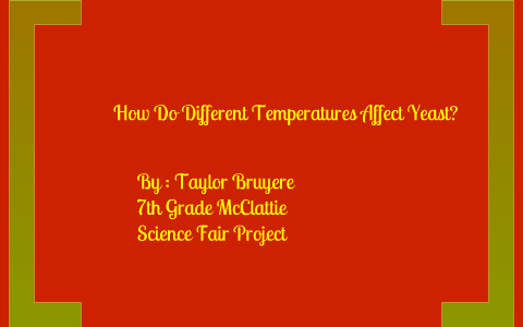How do different temperatures affect yeast? by Tracy Bruyere on Prezi