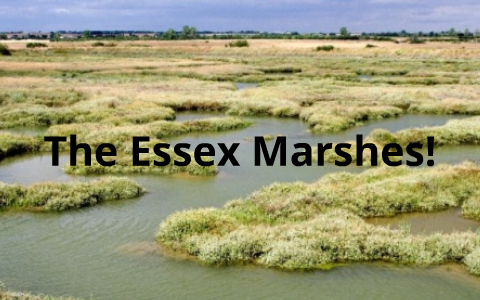 Coastal realignment in the essex marshes by will harvey on Prezi
