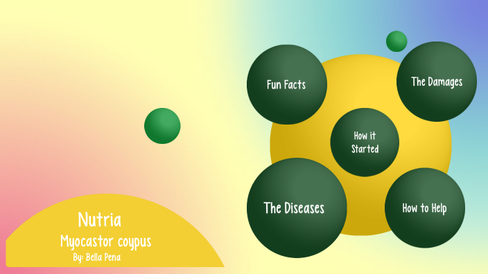 Invasive Species (GT project) by Student Bella Pena on Prezi