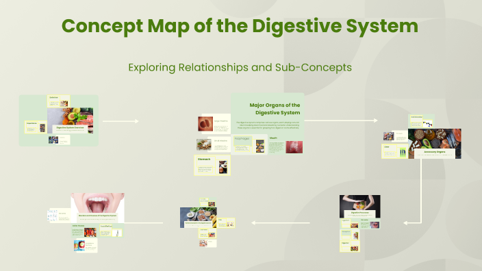 Concept Map of the Digestive System by CHASE ALLEN on Prezi