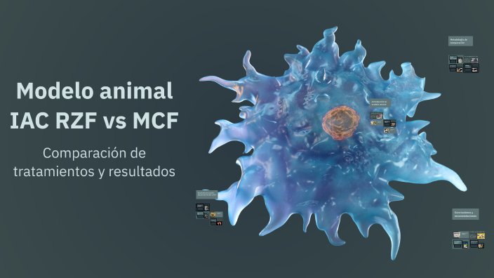Modelo animal IAC RZF vs MCF by Toni Fdez on Prezi