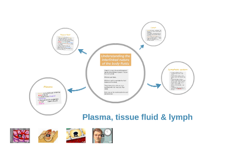 Plasma, tissue fluid and lymph by Lois Lovell on Prezi