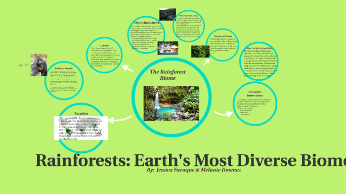 Rainforests: Earth's Most Diverse Biome~ Melanie Jimenez and Jessica ...