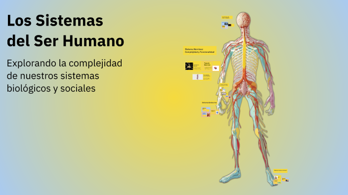 Los Sistemas del Ser Humano by MARYORI YURIKO ALBERCA SANCHEZ on Prezi