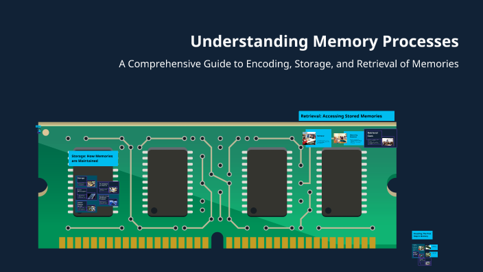 Understanding Memory Processes by Emilee Lawrence on Prezi