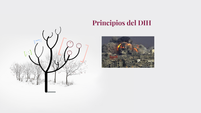 Principios del DIH by on Prezi