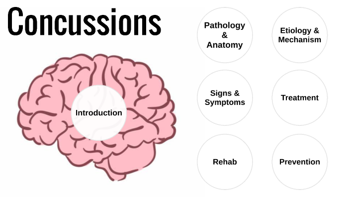 Concussion Group Project by Patrick Berryman on Prezi