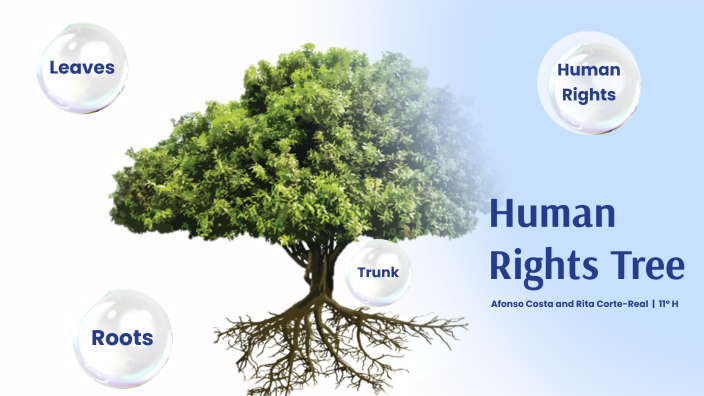 Human Rights Tree by Afonso Costa on Prezi