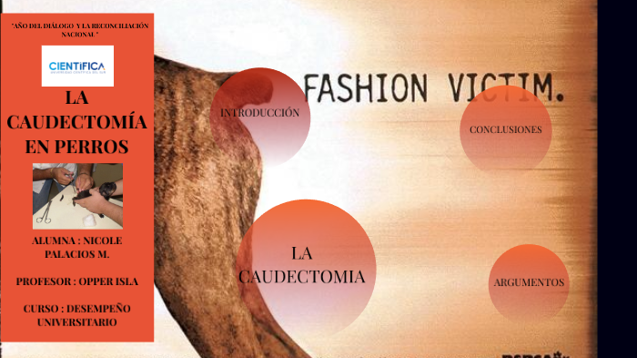 caudectomia by nicole palacios on Prezi