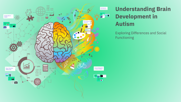 Understanding Brain Development in Autism by Alexiena Nightshade on Prezi