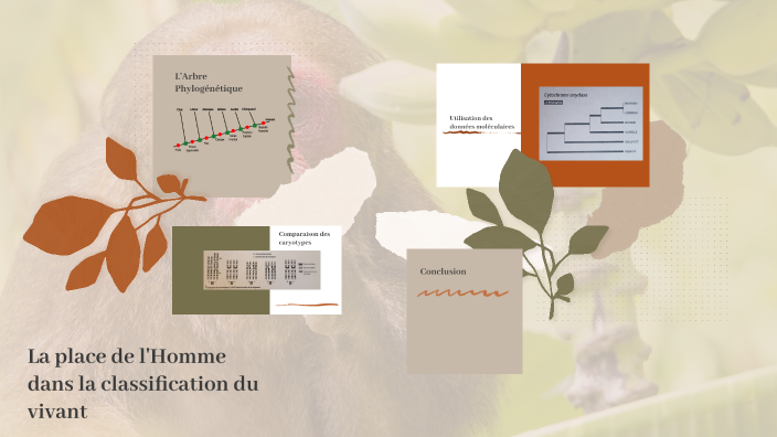 Exposé place de l'Homme dans la classification du vivant by Jeremy ...