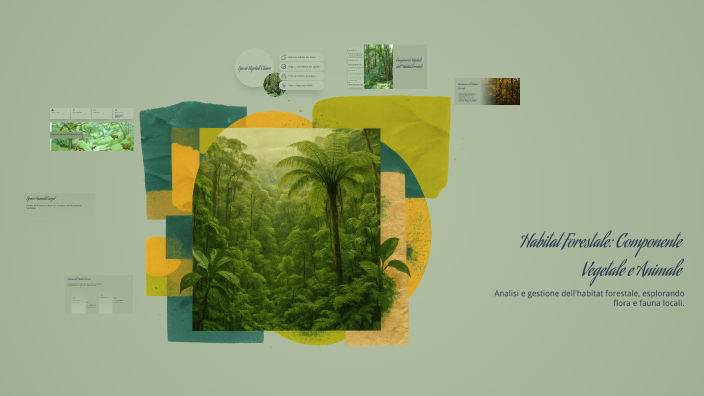 Habitat Forestale: Componente Vegetale e Animale by Anita Pizzinini on ...