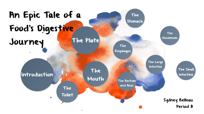 Digestive System Story by Sydney Belleau on Prezi