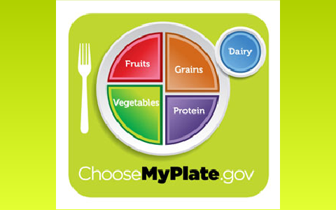 Pros and cons of MyPlate by star kaprinity on Prezi