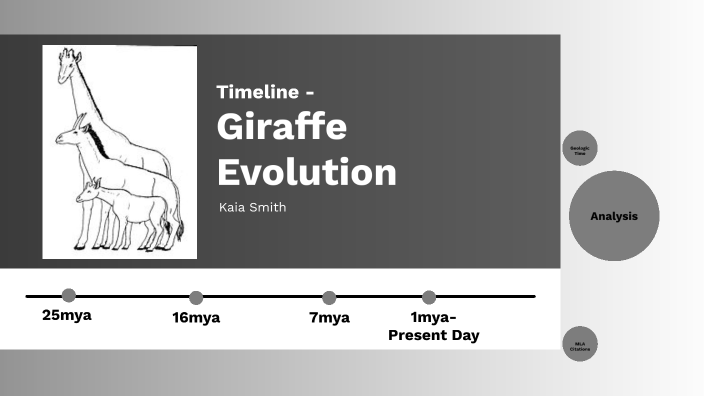 Giraffe Evolutionary Timeline by Kaia Smith on Prezi