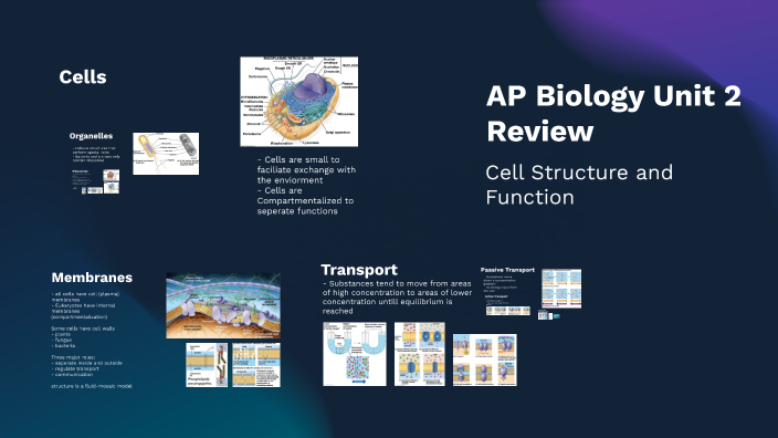 Unit 2 Cell Structure and Function by jia Patel on Prezi