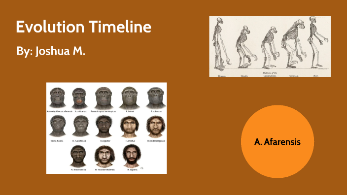 Evolution Timeline by Joshua Minns on Prezi