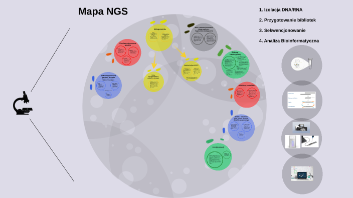 Mapa NGS by Piotr Malysa on Prezi