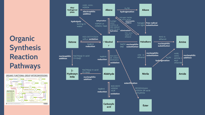 Organic synthesis reaction pathways by Abbie Kumar on Prezi