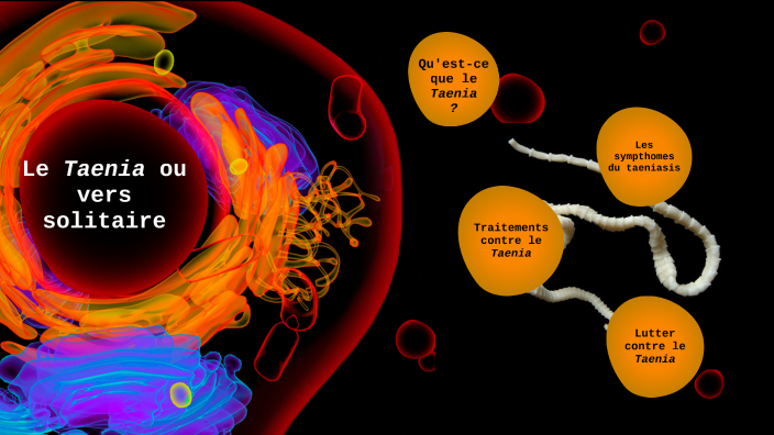Le Taenia ou vers solitaire by Ellé on Prezi
