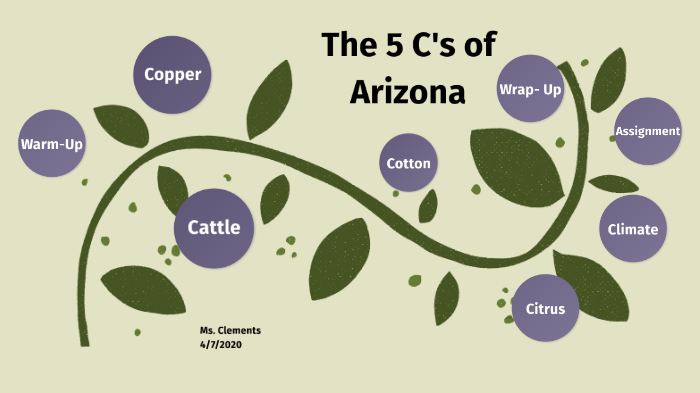 The 5 C's of Arizona by Nicole Clements on Prezi