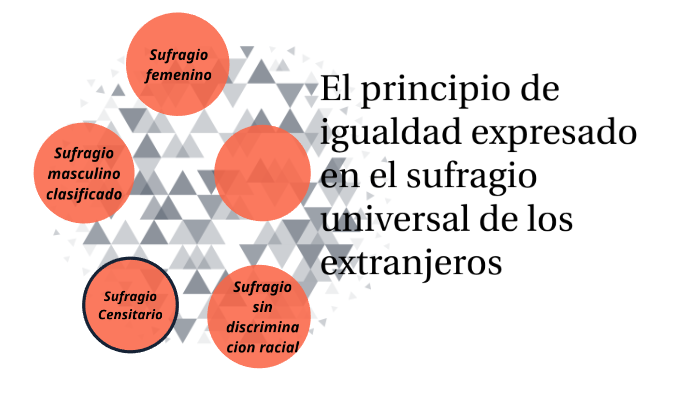 El principio de igualdad expresado en el sufragio universal: los extranjeros by Steven Cevallos ...