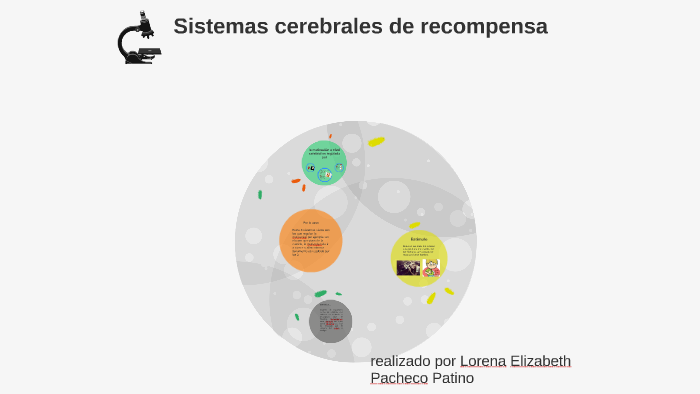 Sistemas cerebrales de recompensa by elizabeth patt on Prezi