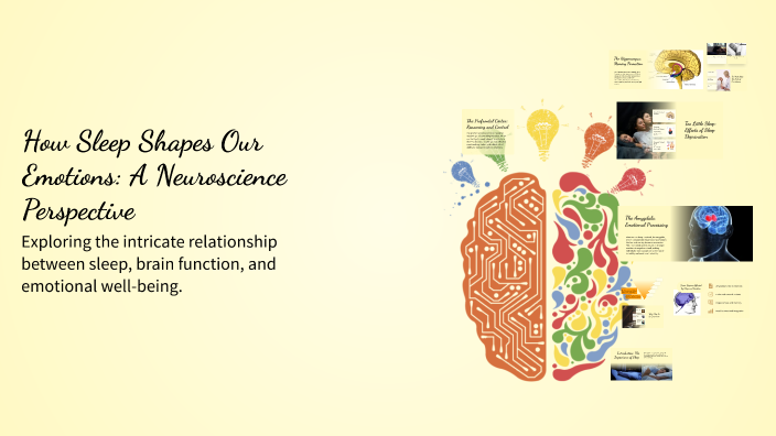 How Sleep Shapes Our Emotions: A Neuroscience Perspective by Narayani ...
