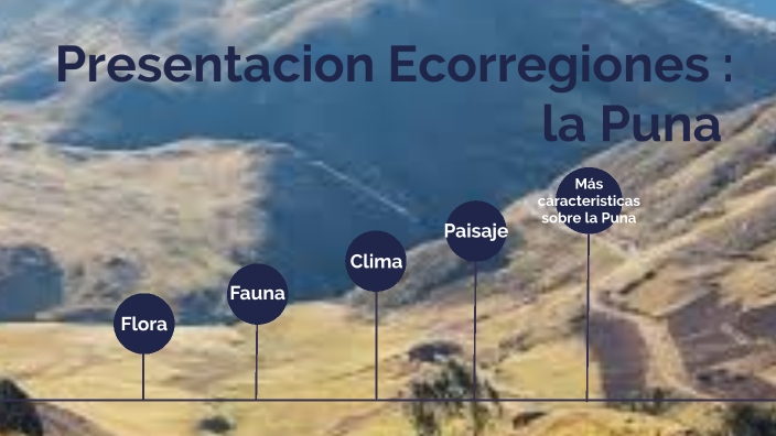 ecorregión de la puna by Nina Boland on Prezi