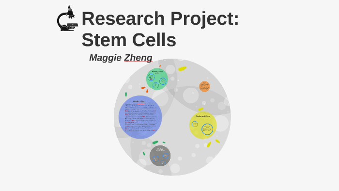 Research Project: Stem Cells by Maggie Zheng on Prezi