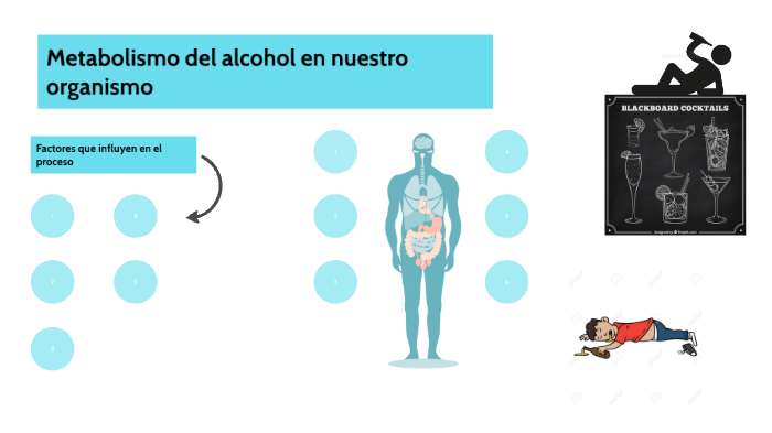 Metabolismo del alcohol by ivan quilici on Prezi