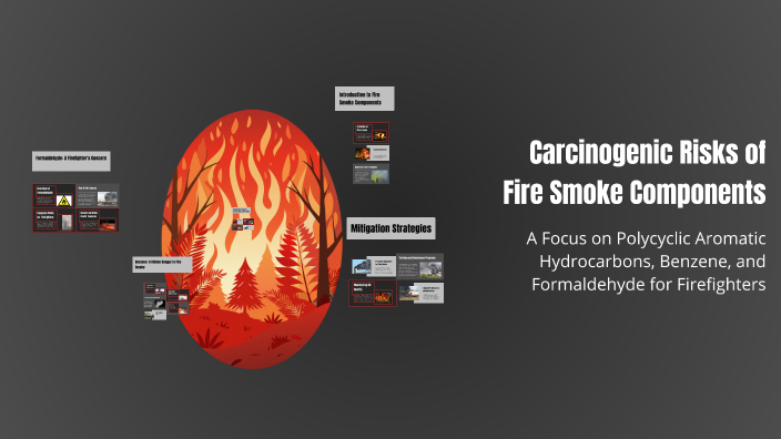 Carcinogenic Risks of Fire Smoke Components by tara taheri on Prezi