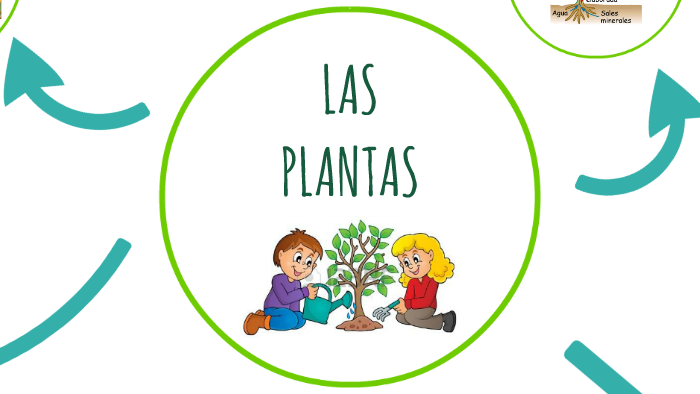 EL MUNDO DE LAS PLANTAS by Yocris Jiménez Valero on Prezi
