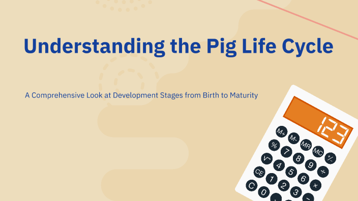 Understanding the Pig Life Cycle by Pichaya Yakruea on Prezi