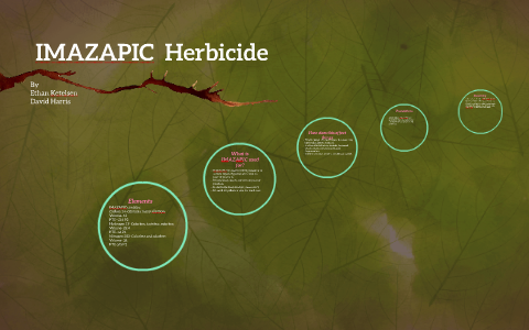 IMAZAPIC Herbicide by ethan ketelsen on Prezi