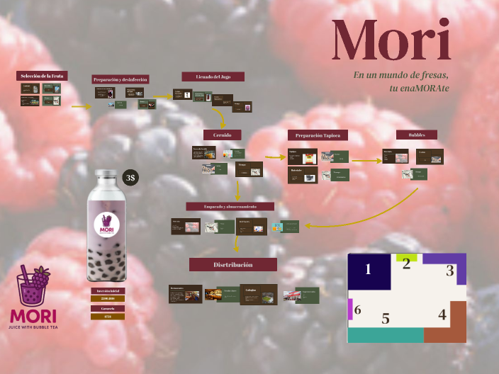 Flujograma del Proceso para Hacer Jugo de Mora Casero by ANAHI VANESSA ROSERO TIXICURO on Prezi