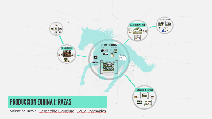 PRODUCCIÓN EQUINA I: RAZAS by Paula Rosmanich on Prezi
