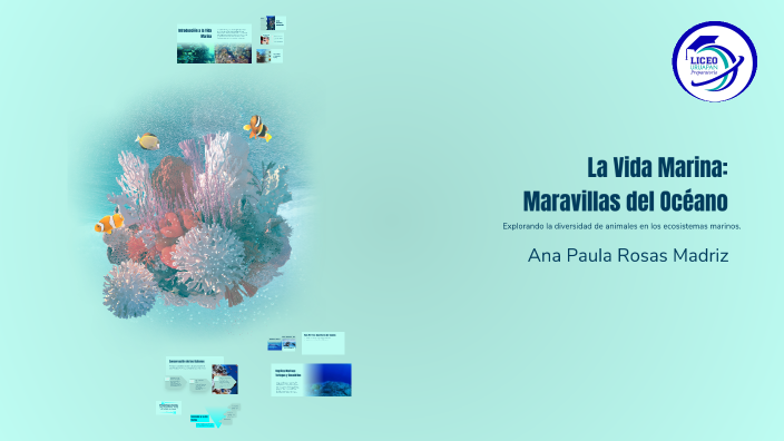 La Vida Marina: Maravillas del Océano by Ana Paula Rosas Madriz on Prezi