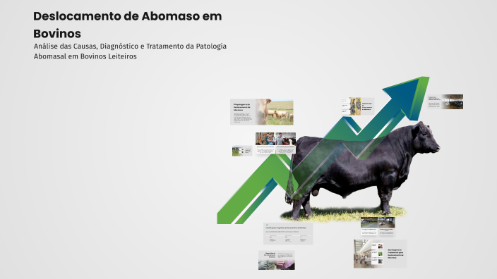 Deslocamento de Abomaso em Bovinos by Yasmin Ceccon de Souza on Prezi